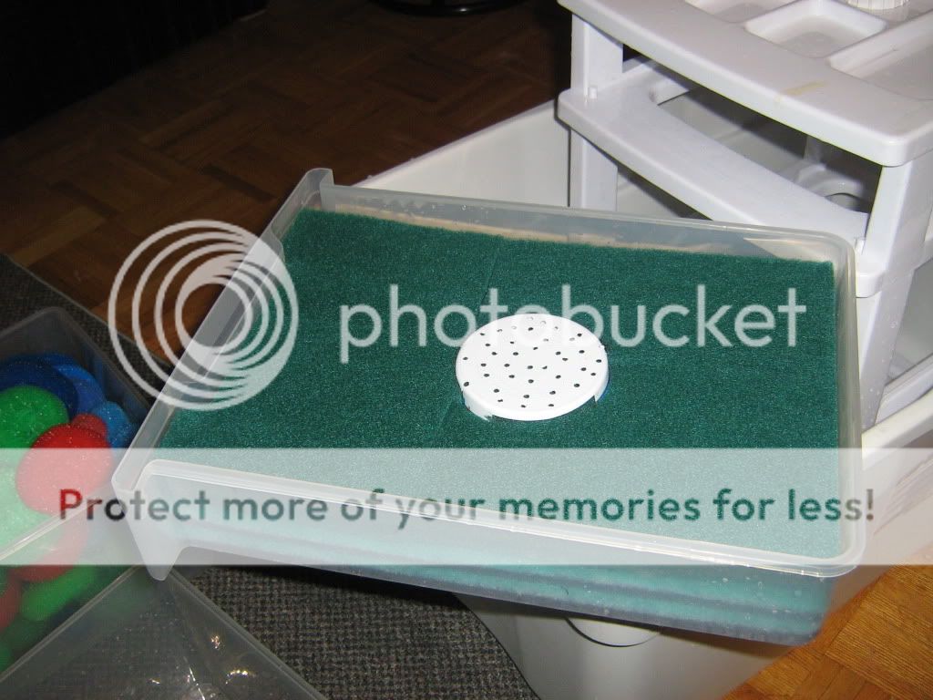 KISS large sump filter design | MonsterFishKeepers.com