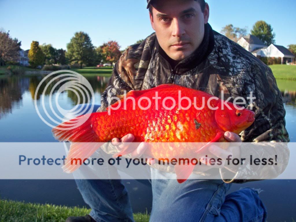 Snakehead Fishing in New Jersey | Page 4 | MonsterFishKeepers.com